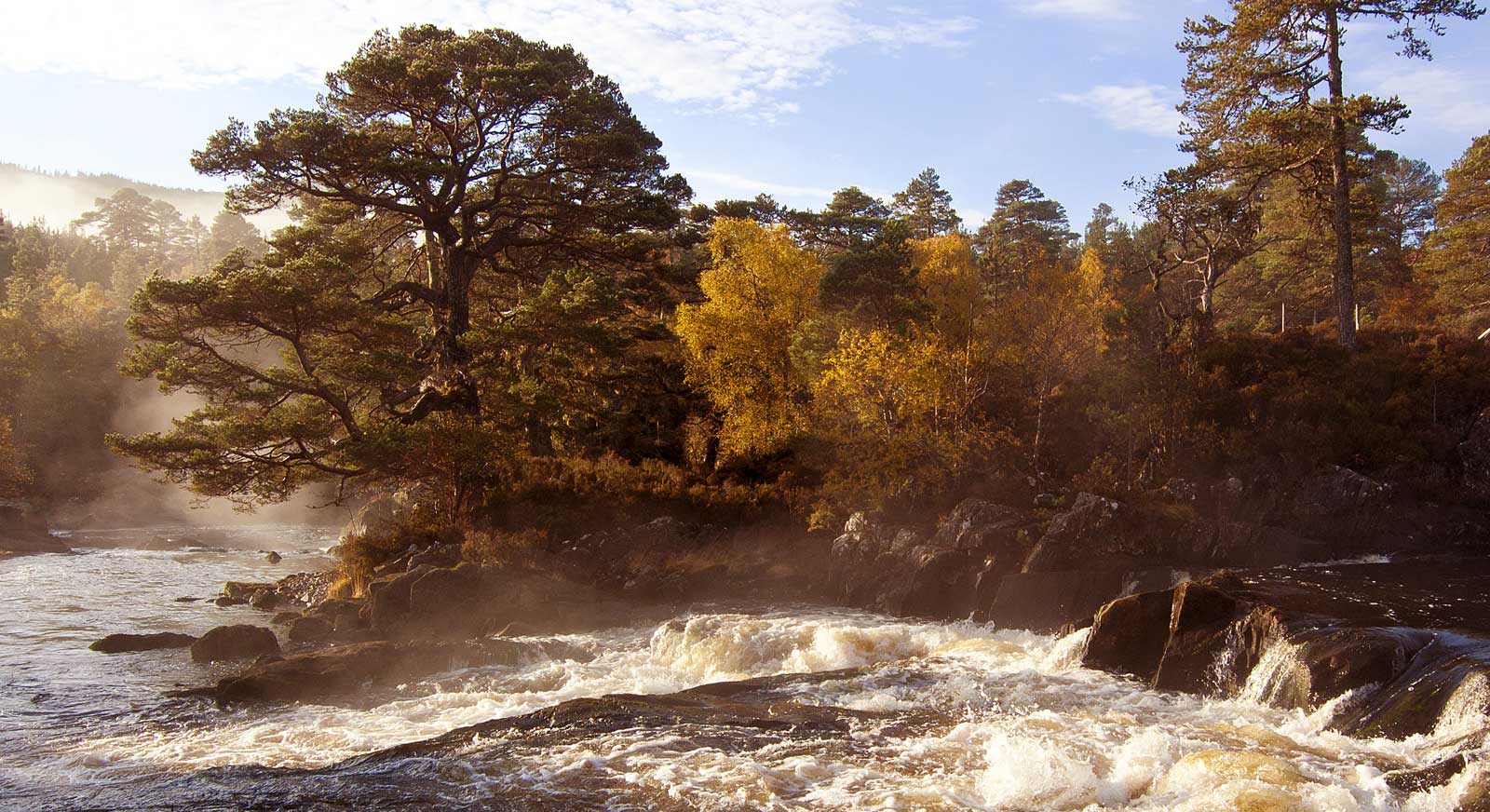 Gallery - Casa Mia at The Struy Inn