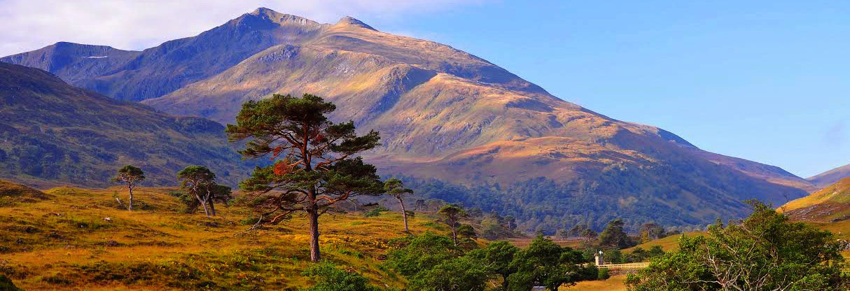 Location - Casa Mia at The Struy Inn